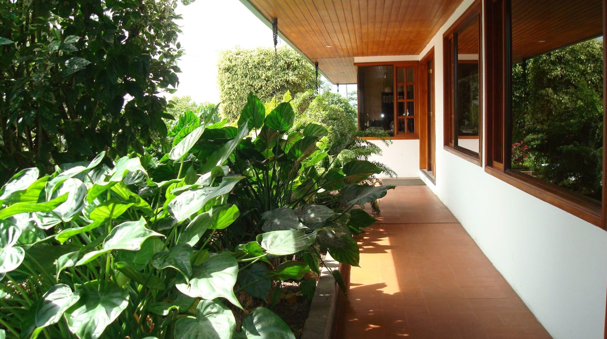 ARBORIENTE S.A. – Madera Triplex